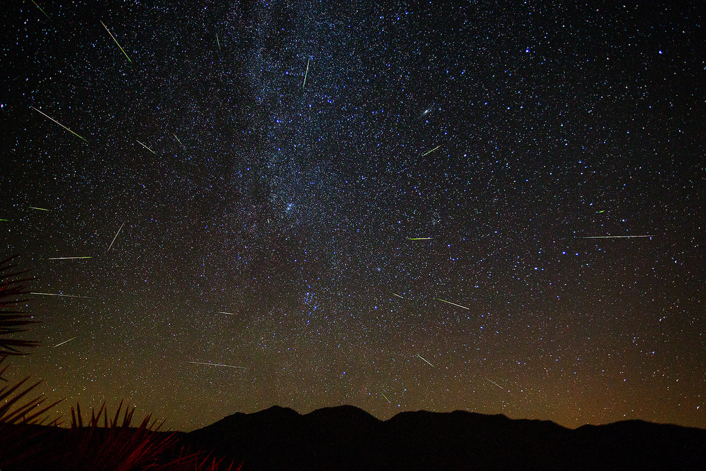 The Leonids | | Modulo | Universe
